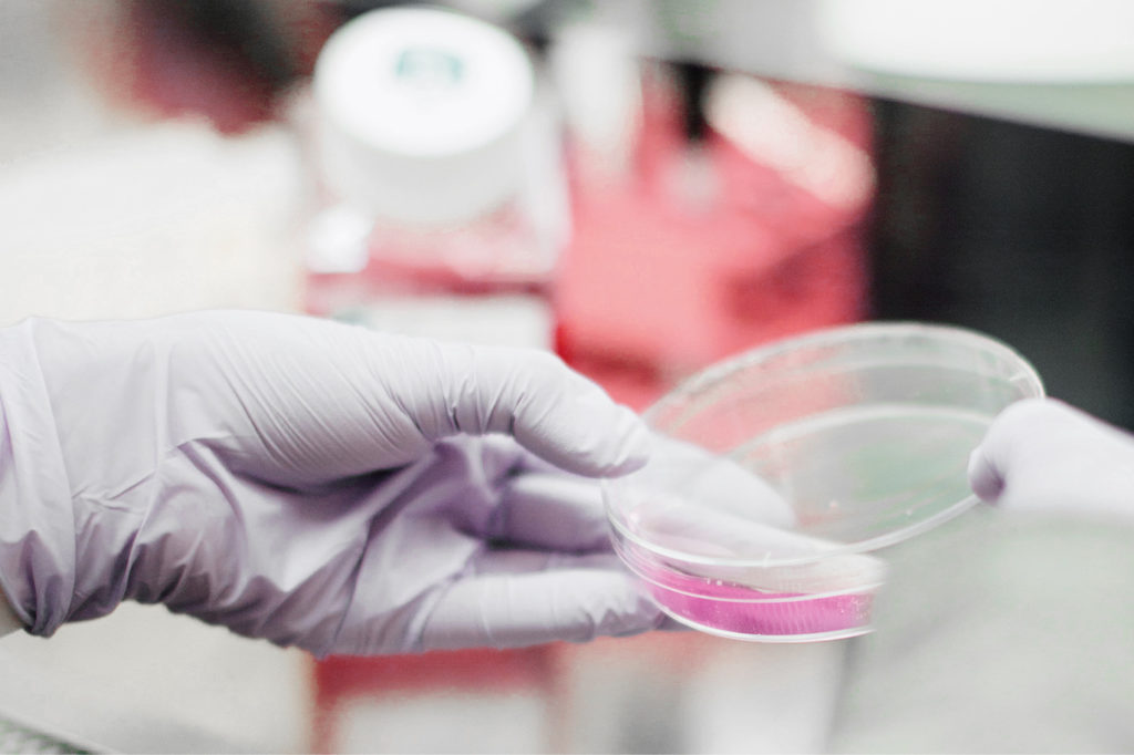 Products – BioTec Rec.